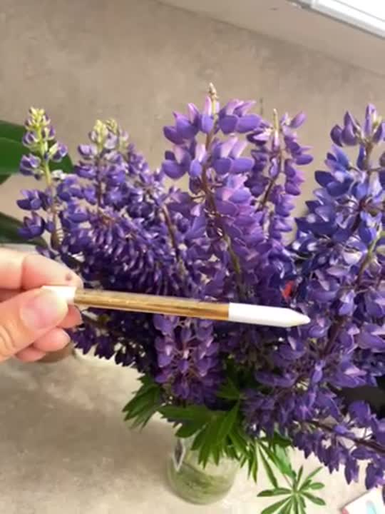 Карандаш для глаз Eyeliner STELLARY Карандаши для глаз 0 цвет – купить ...