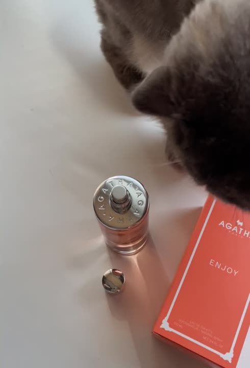 AGATHA Enjoy купить по цене 2300₽ в ЛЭТУАЛЬ